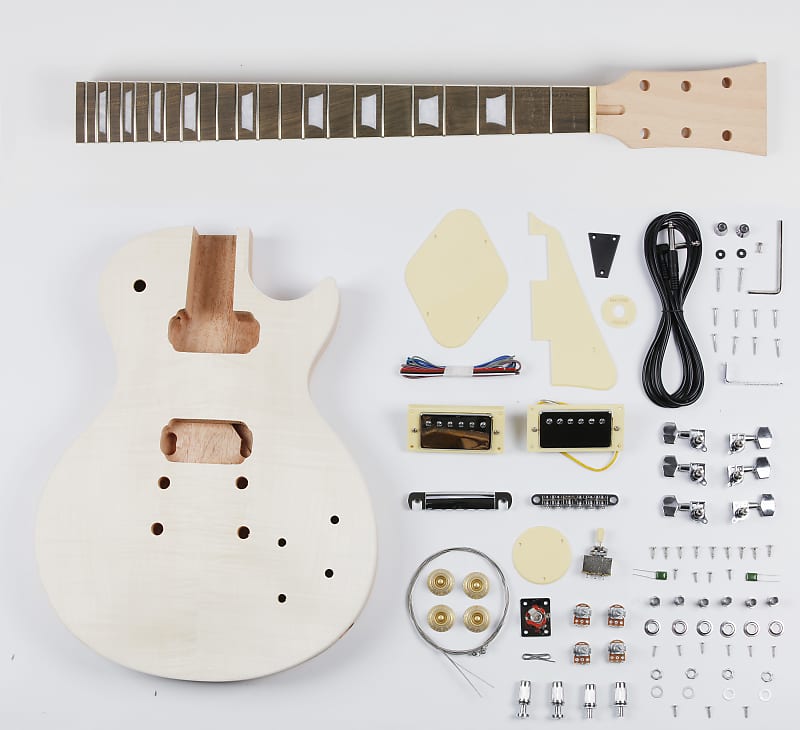 Leo Jaymz DIY LP Style Electric Guitar Kit - Guarantee | Reverb