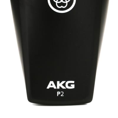 AKG Perception P2 Cardioid Dynamic Bass Microphone Bundle | Reverb