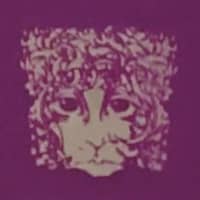 Vintage Fender D6 Stringmaster Double Neck 6-String Console | Reverb