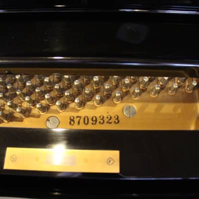 Samick SG-185 Grand Piano | 6'1" Polised Ebony | Reverb