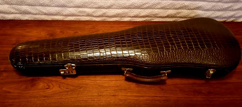 Alligator Skin Violin Case | Reverb