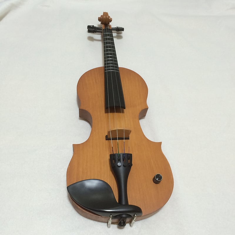 Violin. Fretted electric . | Reverb