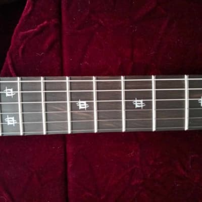 Washburn N4 Walnut Mourning Windows Inlays Proto Davies 2.0 | Reverb