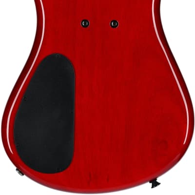 Spector Bantam 5 | Reverb