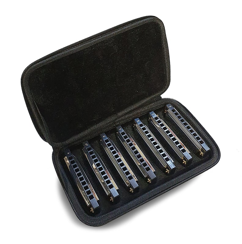 Stagg Howlin Harp Blues Harmonica Set Inc Case BJH-B20 | Reverb UK