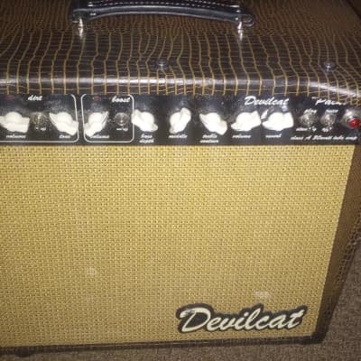 Devilcat Packer Guitar Amplifier 30W 1x12" Tube Combo w/ | Reverb