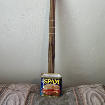 Sunshine Mountain SPAMJO (Canjo) 2 strings! The Stradivarius | Reverb