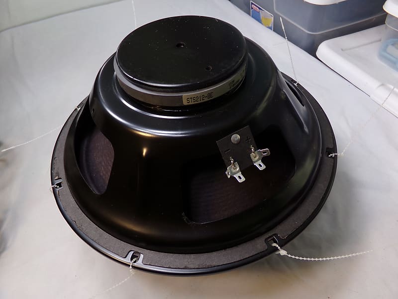 STS 12" Amplifier Speakers/Black | Reverb