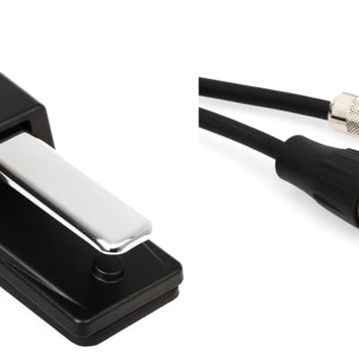 Roland DP-10 Piano-style Sustain Pedal with Half-damper | Reverb