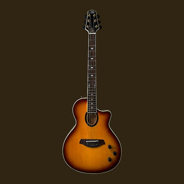 Aslin Dane Icosa 6 String thin line electric-acoustic guitar | Reverb