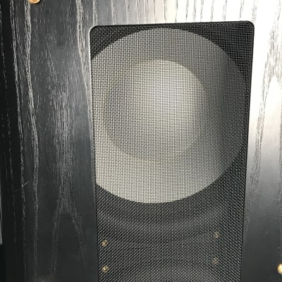 Thiel SS2 Smartsub 1000W Powered Subwoofer with 10" Aluminum | Reverb