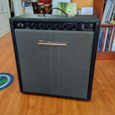 Traynor TS 100 Guitar Combo Amplifier (Philadelphia, PA) | Reverb