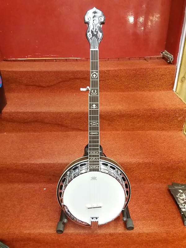 Ozark Banjo 2141G | Reverb