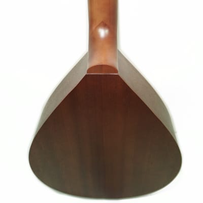 Acoustic 12 String Lute Folk Guitar Kobza Vihuela made in | Reverb