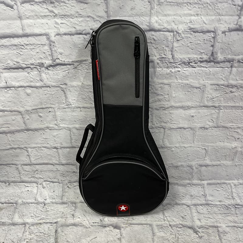 Roadrunner Mandolin Gig Bag | Reverb