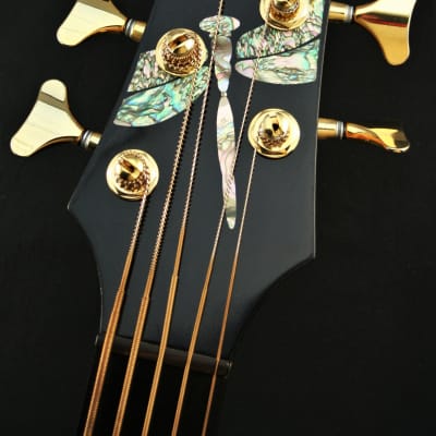 Harry Fleishman 'Dragonfly'. 1995 One of a Kind Acoustic | Reverb