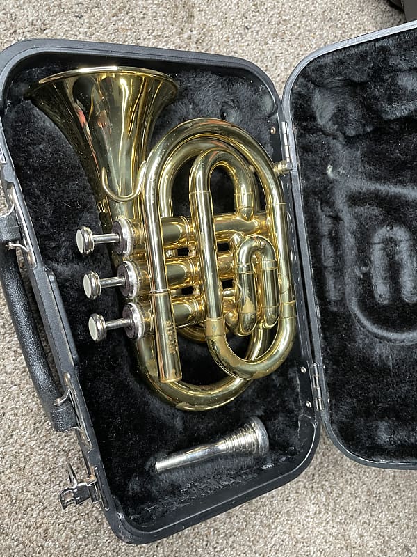 Jupiter jtr-416 pocket trumpet - brass | Reverb