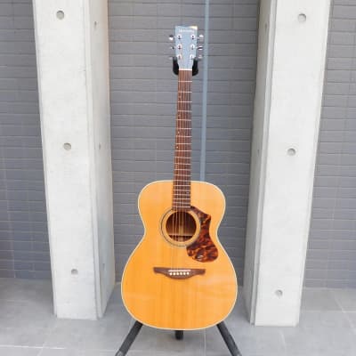 HISTORY NT-S4 Small Body Acoustic Guitar / All-Solid | Reverb UK