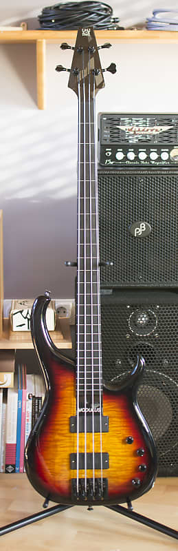 Modulus Quantum 4 Fretless 2004 - Sunburst | Reverb