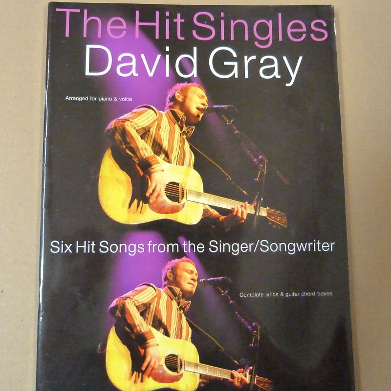 songbook DAVID GRAY the hit singles , lyrics and guitar chord | Reverb