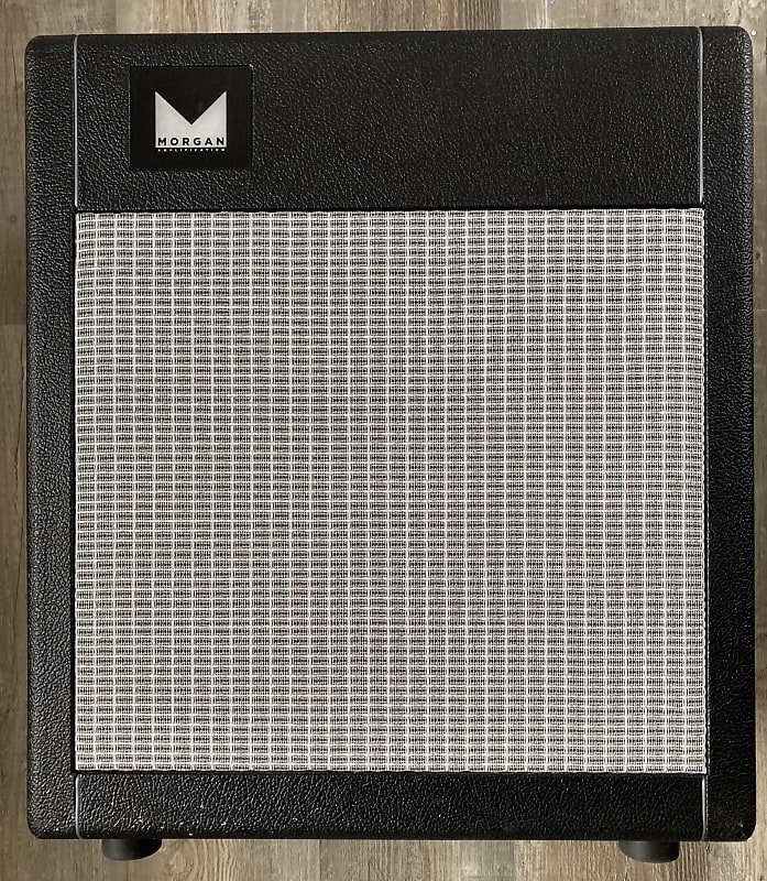 Morgan Amplification SW50 in a PR12 Cab 38lbs (Weekend Sale) | Reverb