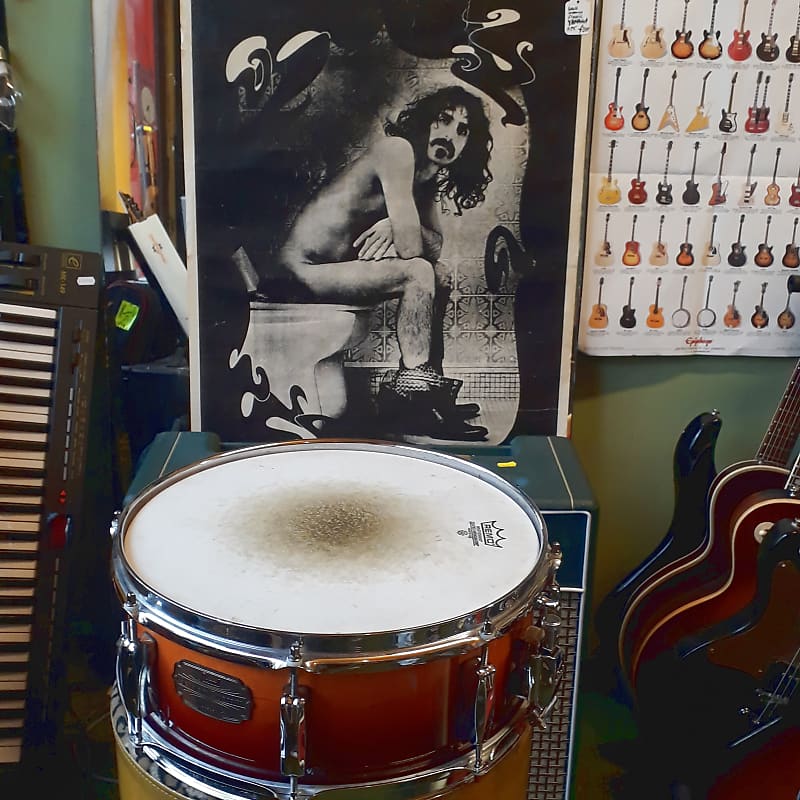 Pearl Session Custom Snare drum 2010s - Amber | Reverb