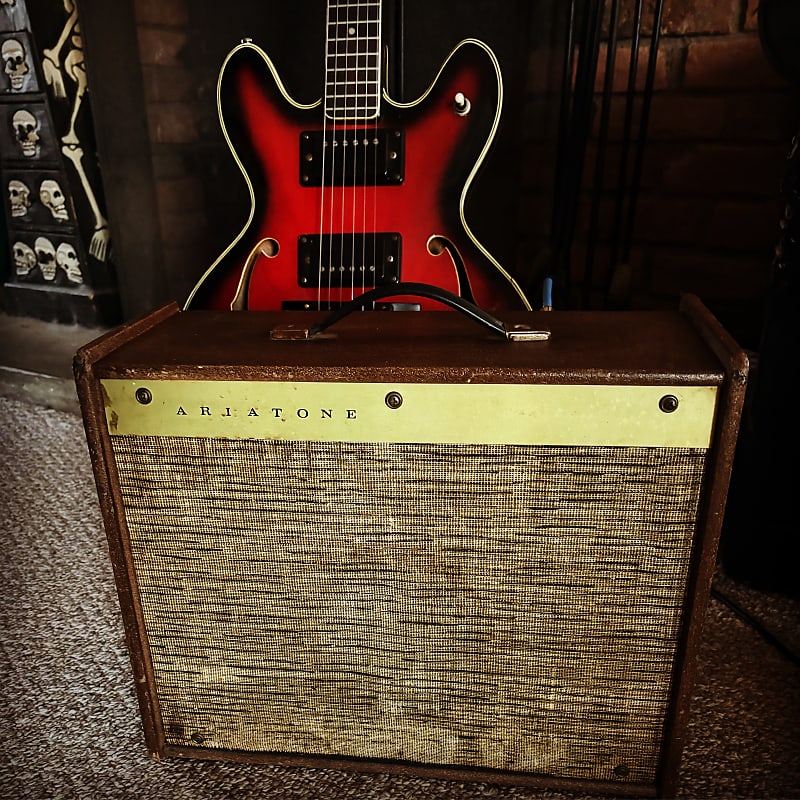 1960s Magnatone Ariatone 401 | Reverb