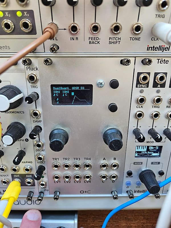 mxmxmx Ornament & Crime 2010s | Reverb