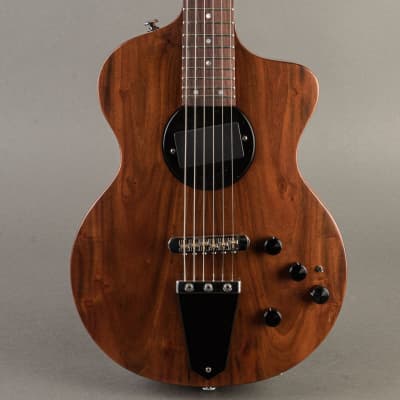 Turner Model 1 C-LB Featherweight Lindsey Buckingham | Reverb