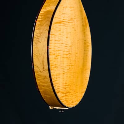 Pava A5 Pro Honey Amber Adirondack Spruce and Quilted Maple | Reverb