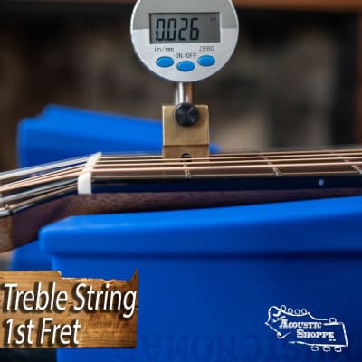 Bedell Limited Edition Fireside Parlor All Walnut Acoustic | Reverb