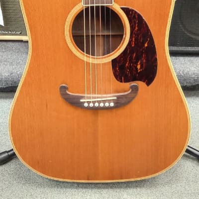 Daion Mugen Mark V Acoustic Guitar | Reverb