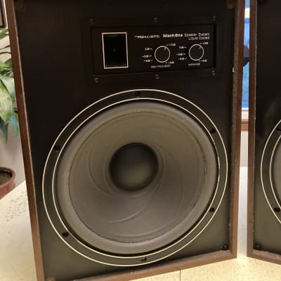 Vintage Realistic Mach One Liquid Cooled Speakers New Foam | Reverb