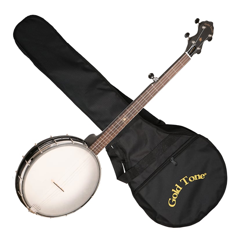 GOLD TONE AC-12FL 5-string Composite openback fretless BANJO | Reverb