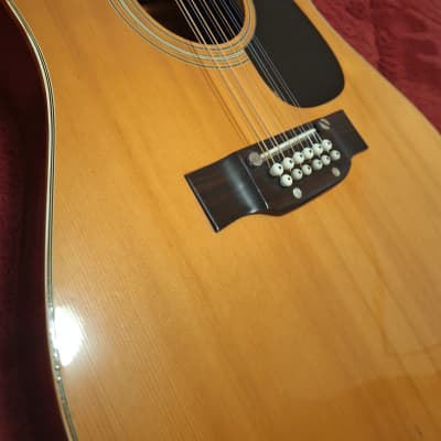 Ventura Bruno V-17 12 String Acoustic Dreadnought Guitar | Reverb