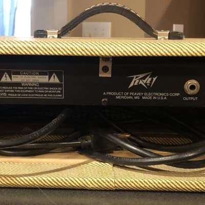 Peavey Valverb with custom cabinet | Reverb