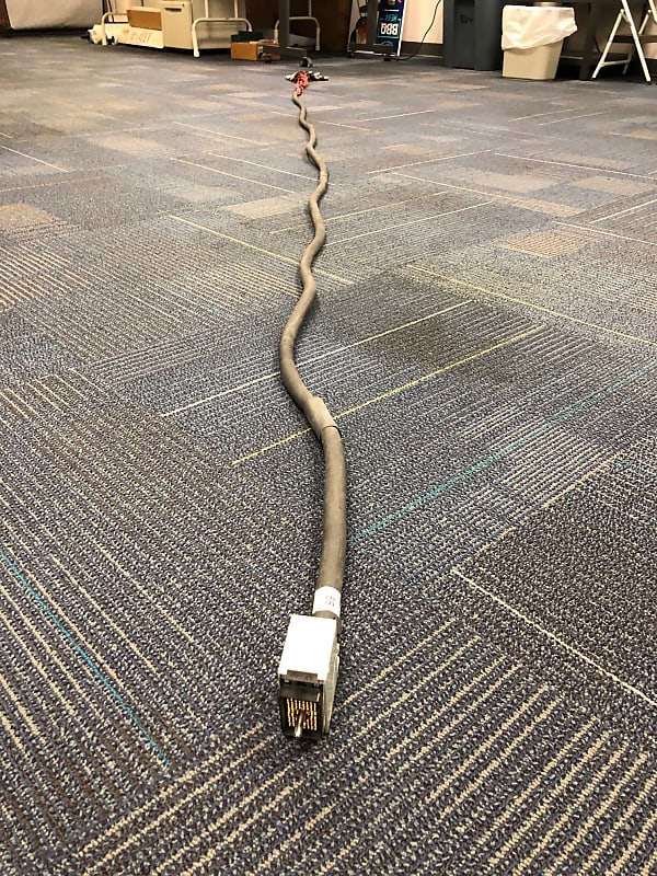 Redco 32 channel DL2-96 to M xlr cable - 15' | Reverb