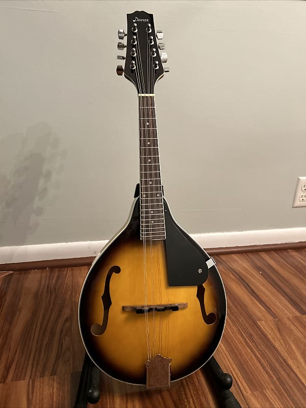 Donner DML-1 Mandolin - Honeyburst | Reverb