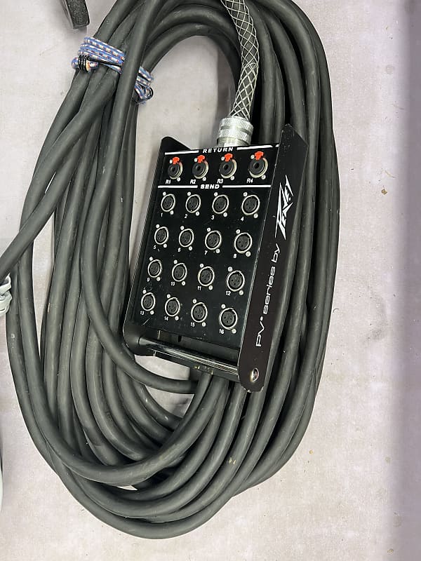 Peavey 16-channel snake 1990's - factory | Reverb