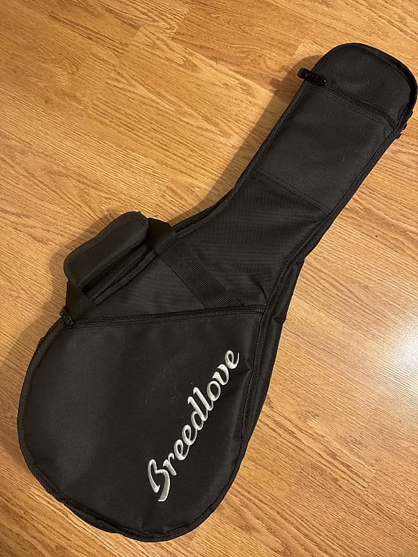 Breedlove Electric Mandolin soft case | Reverb