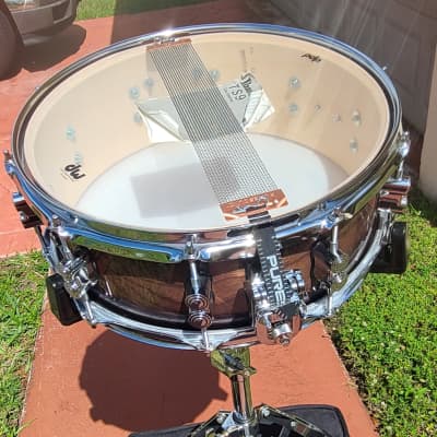 PDP 14" 10 Lug Maple Snare Drum select batter, snares ,Mag. | Reverb