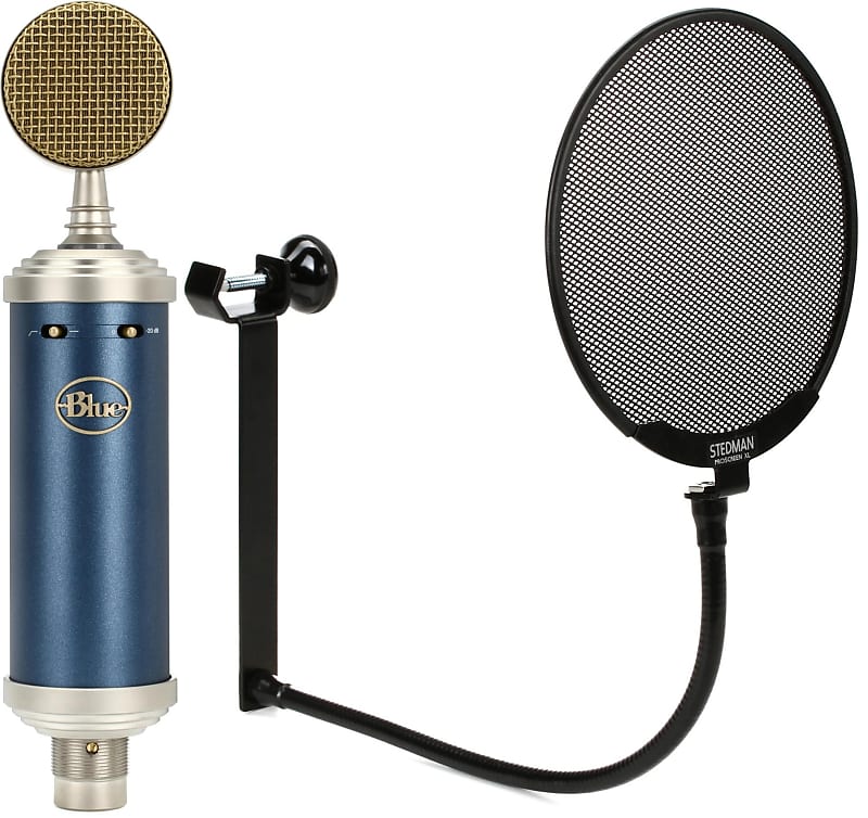 Blue Microphones Bluebird SL Large-diaphragm Condenser | Reverb