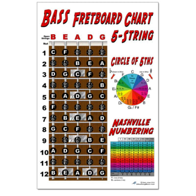 Laminated New Song 5 String Bass Fretboard Chart Poster | Reverb