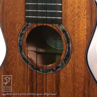Leaf Instruments Teriha[Pre-Owned] | Reverb