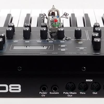 DSI Sequential Dave Smith Prophet 08 PE Synthesizer +Top | Reverb