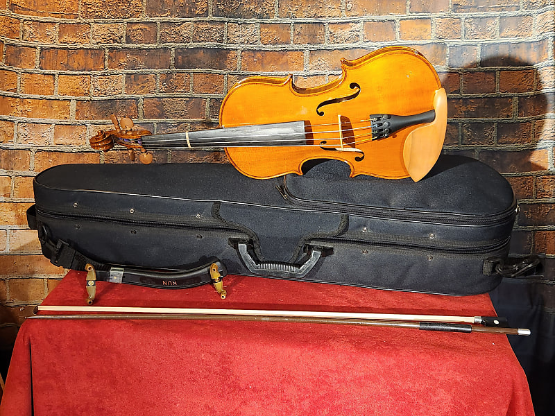 Custom 4/4 Standard Violin With Semi Hard Case - BEAUTIFUL | Reverb