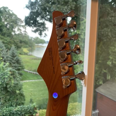 Gorgeous Flame Strat Style EART NK-C3 STAINLESS Frets! | Reverb