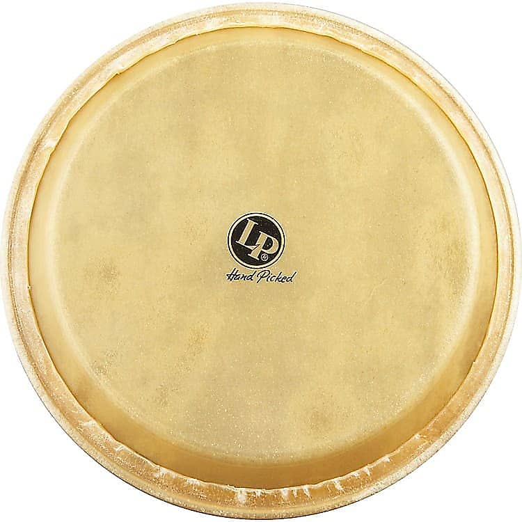 Latin Percussion Conga Head 9" | Reverb