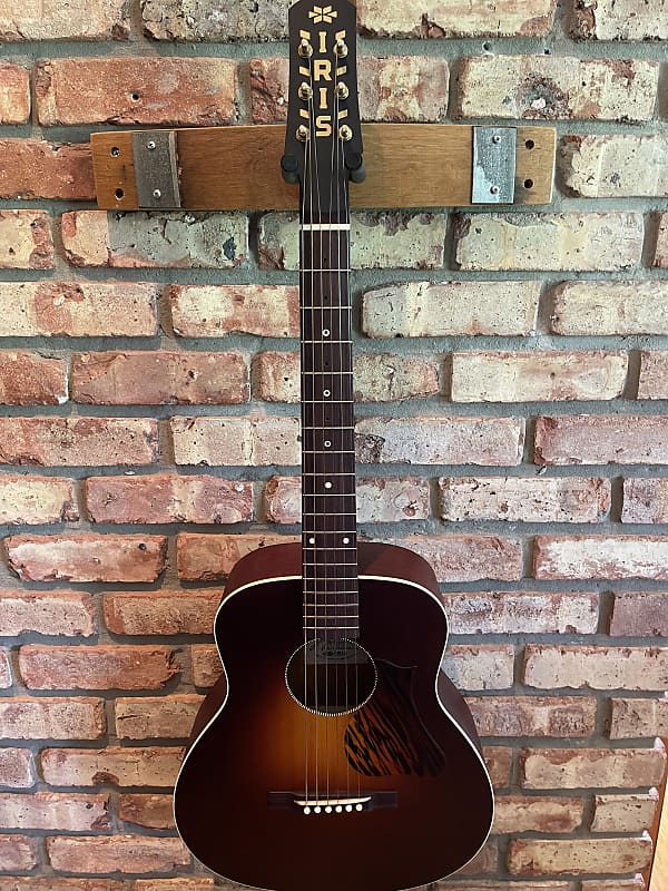 Dan Erlewine Iris D-11 2023 Mint Condition | Reverb