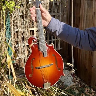 Eastman model 915, 2007 - Sunburst Maple and Spruce | Reverb